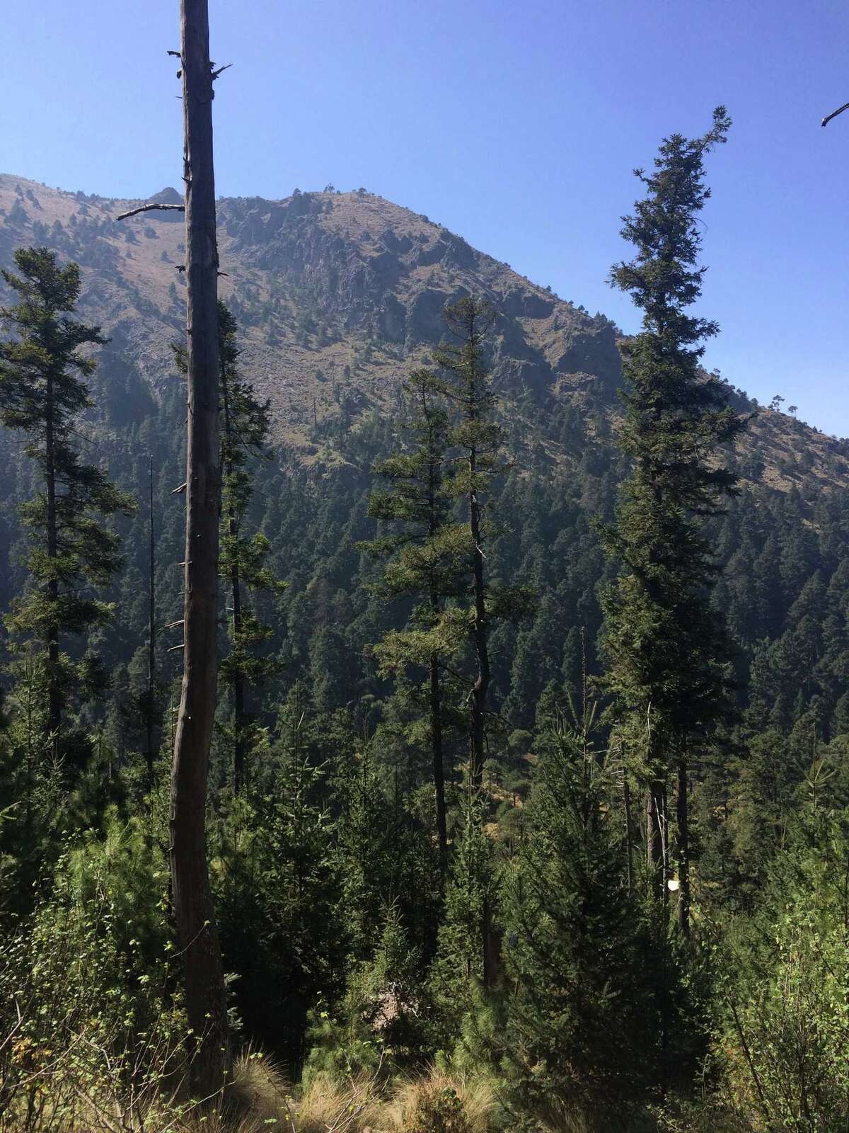 Hiking in Mexico City: a peak experience beyond the tourist trail