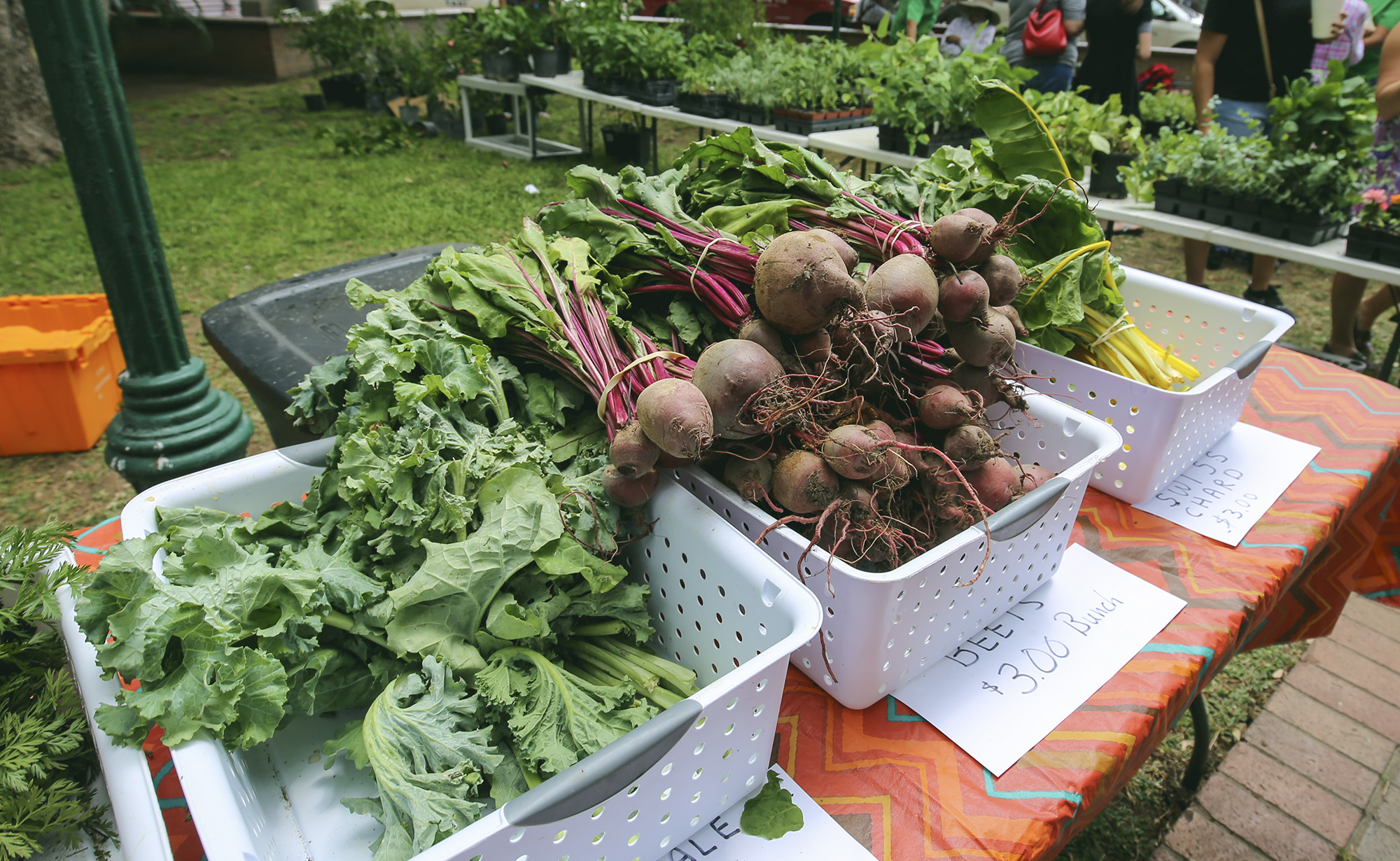 Seven steps to preventing health problems