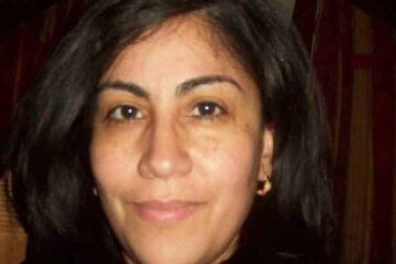 Neighbors tried to save Schenectady woman lit on fire