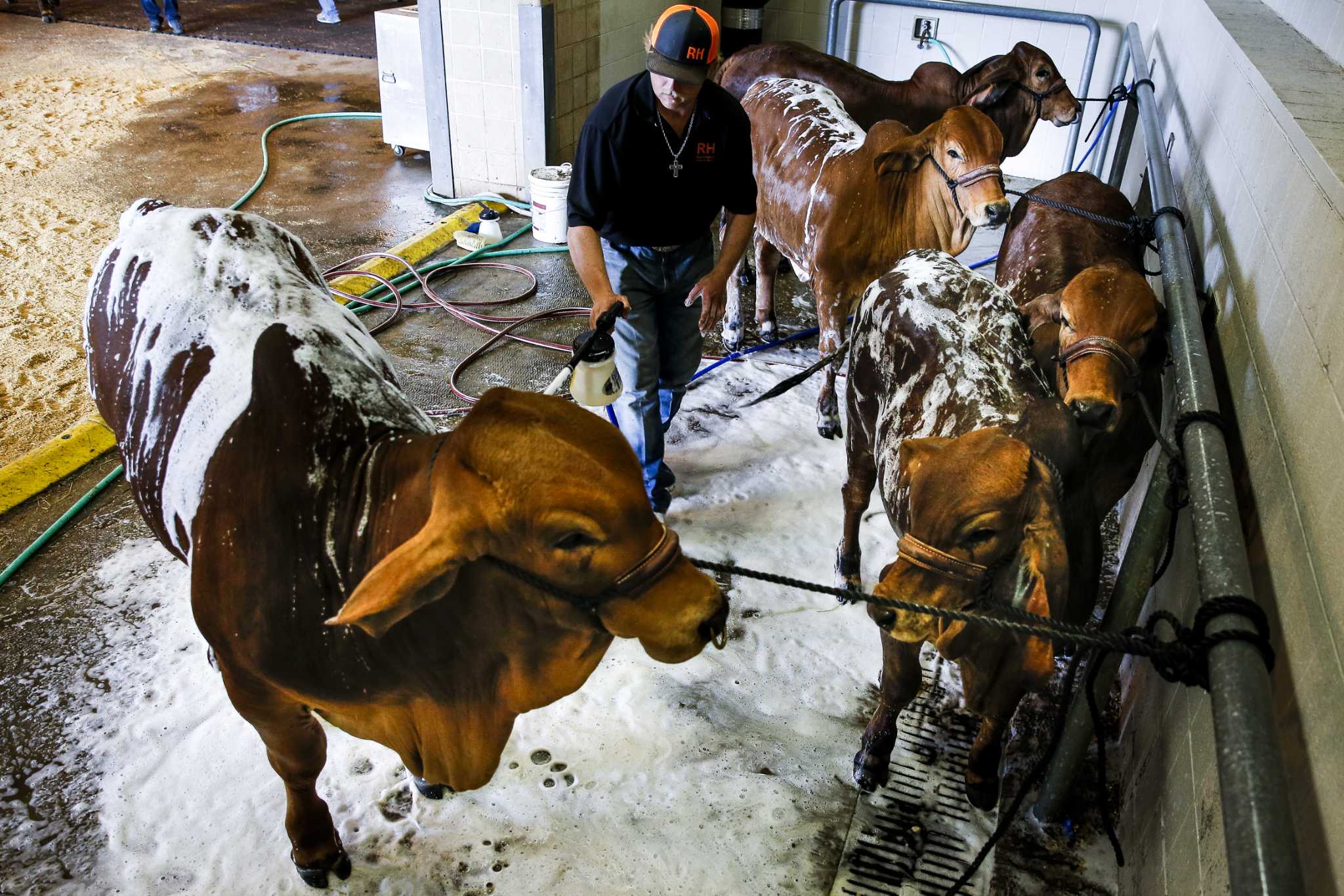 Why you're paying way more for beef than you should