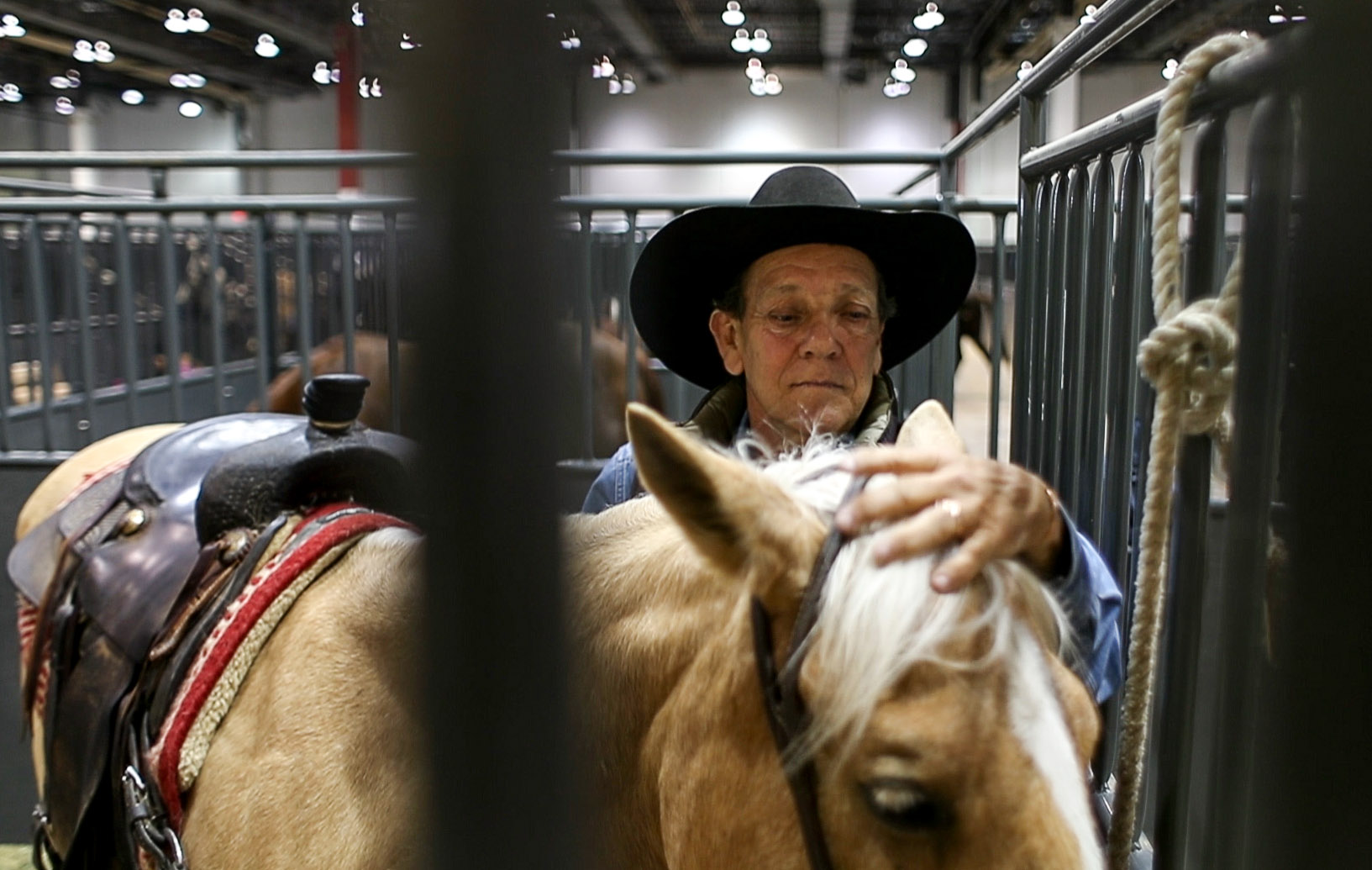 For an old bull rider at the rodeo, cutting horses are the next best thing