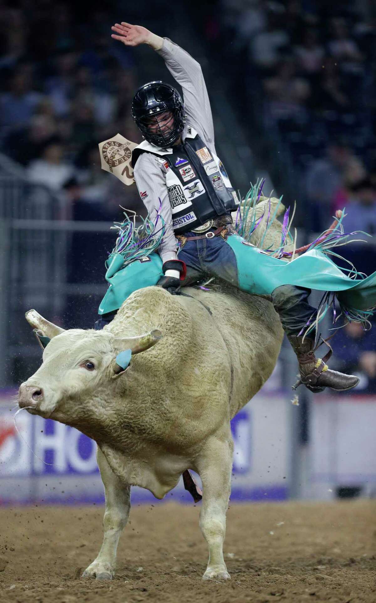 Chron reporter loses rodeo Celebrity Goat Milking Competition for the ...