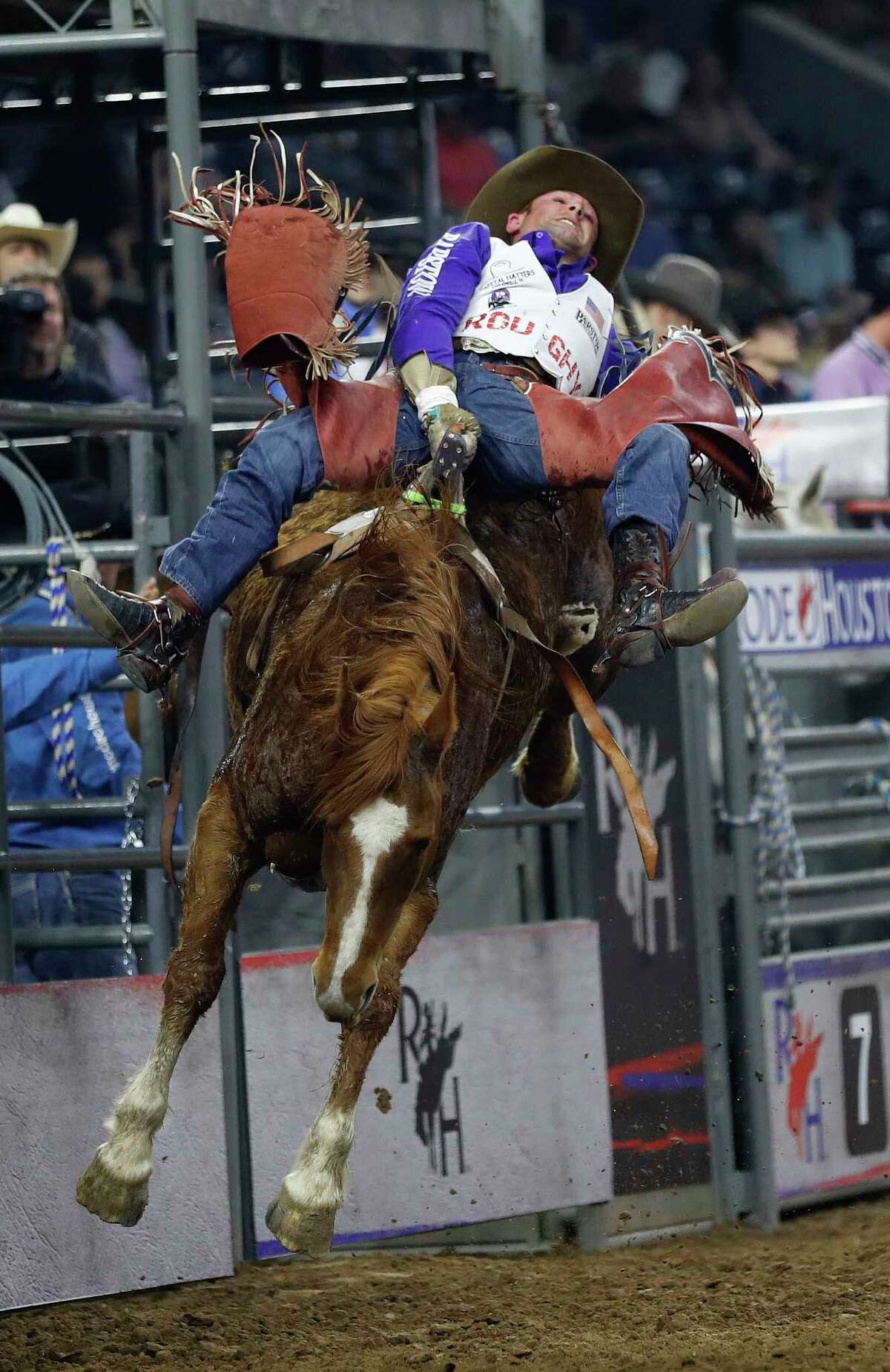 Chron reporter loses rodeo Celebrity Goat Milking Competition for the ...