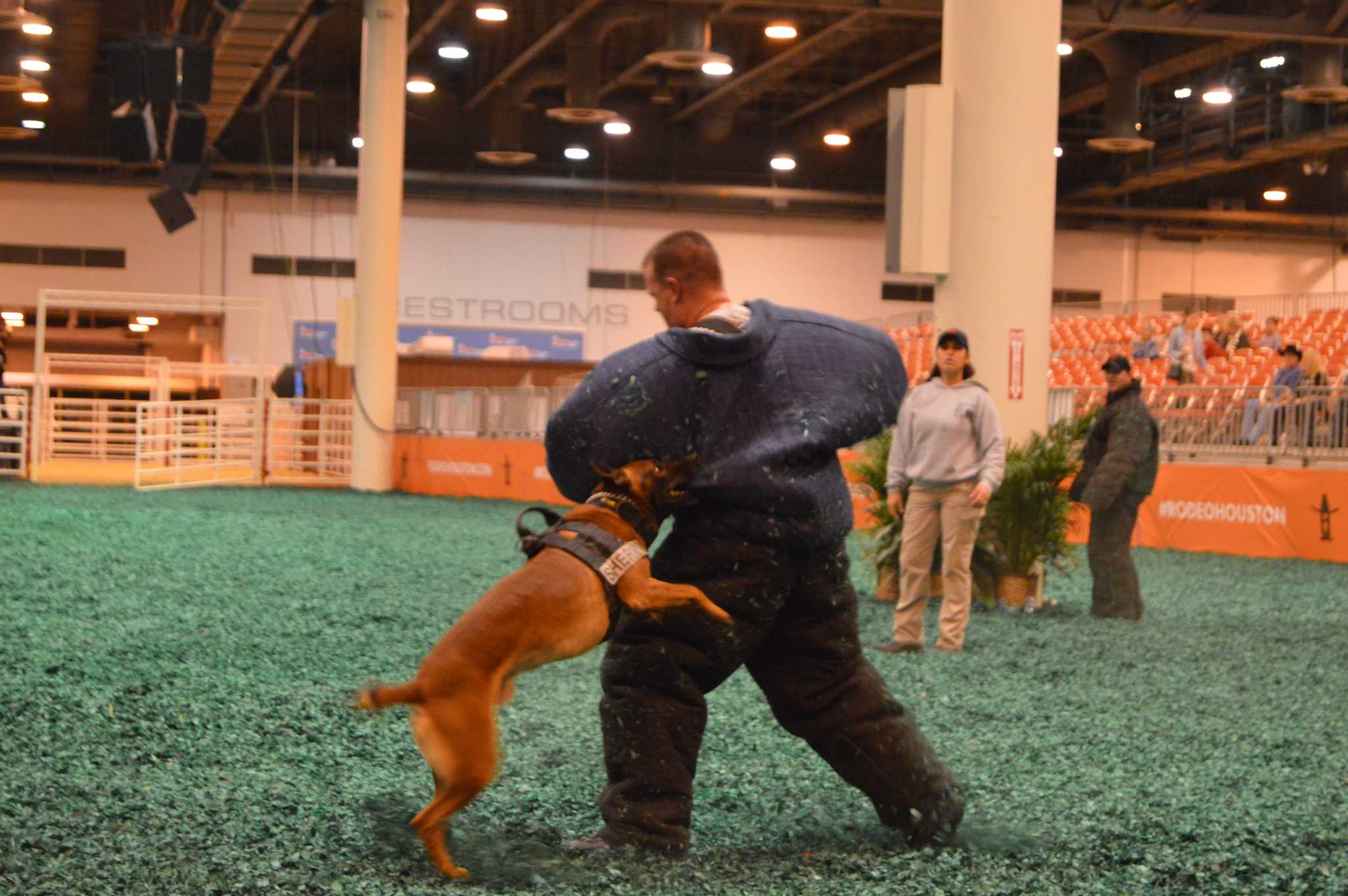 Police dogs display power, training in Rodeo competition