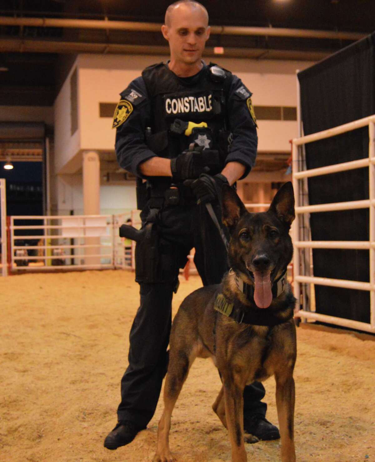 Police dogs display power, training in Rodeo competition