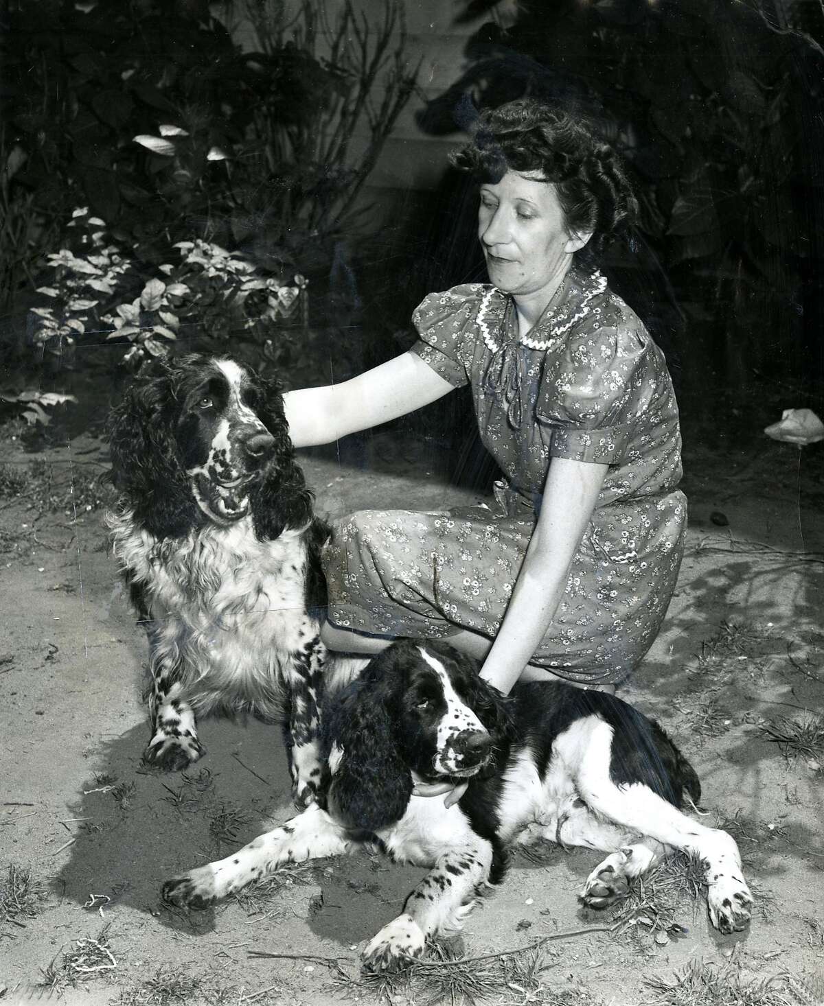 San Francisco is a dog haven - is your breed among the cutest archive ...