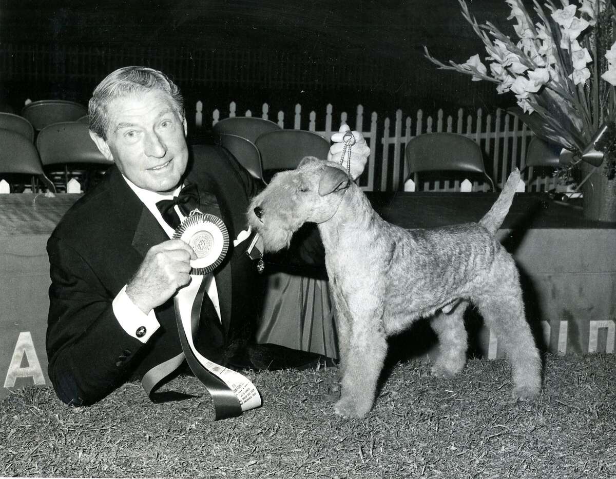 San Francisco is a dog haven - is your breed among the cutest archive ...