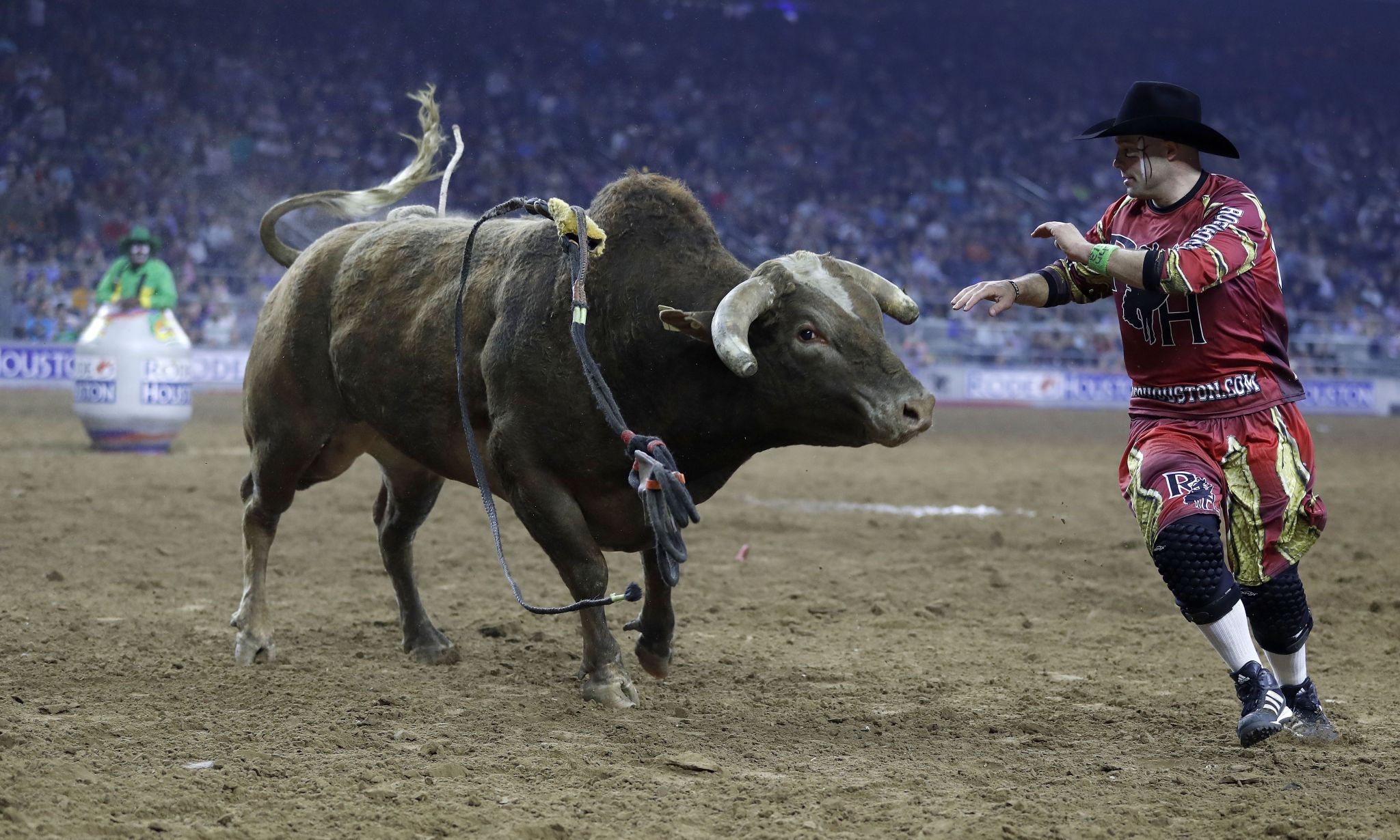 For bullfighters and rodeo riders, a life of scars and stories