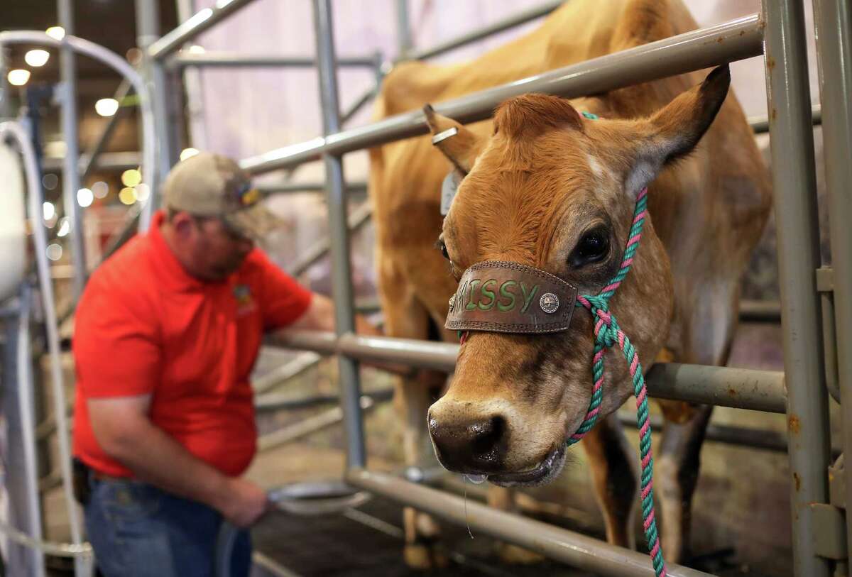 Can’t-miss RodeoHouston events you may not know about