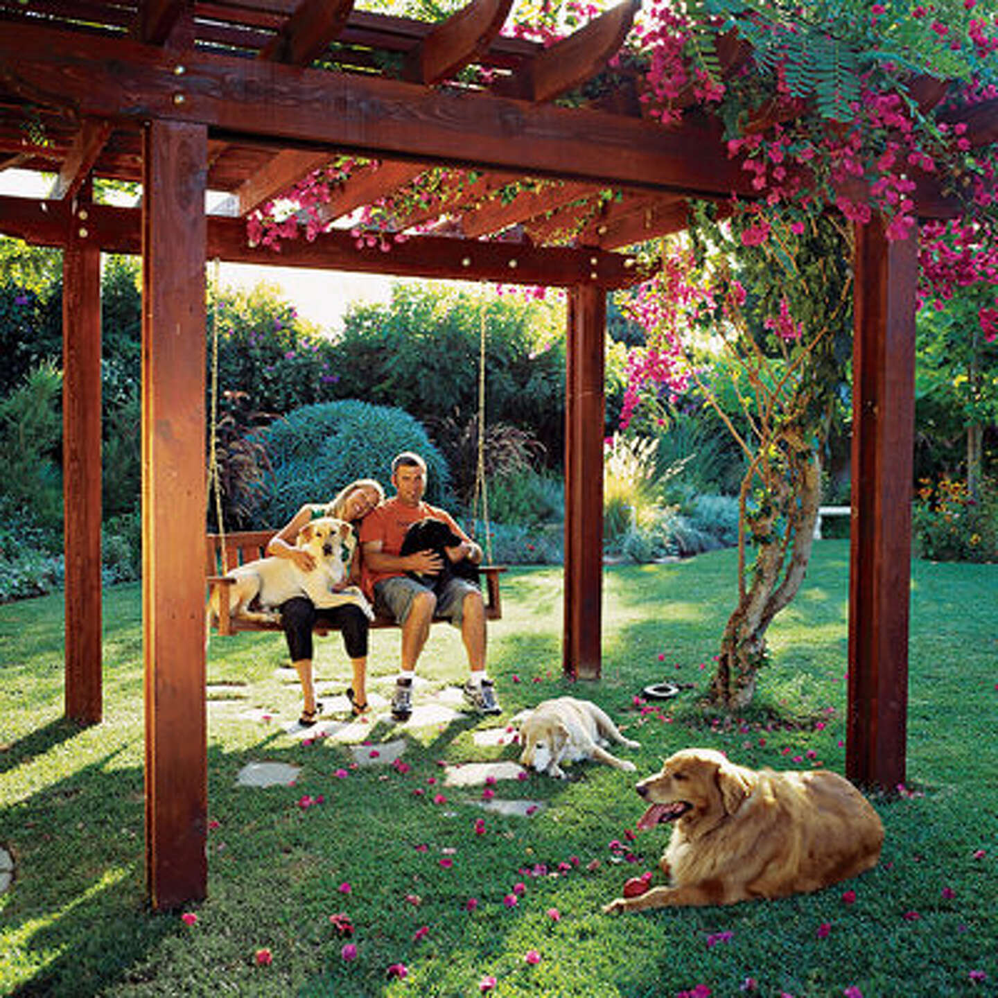 How to create a dog-friendly garden
