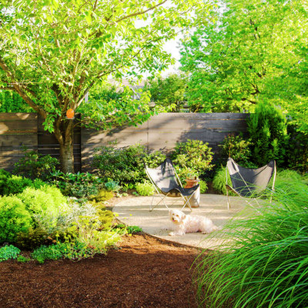 How to create a dog-friendly garden