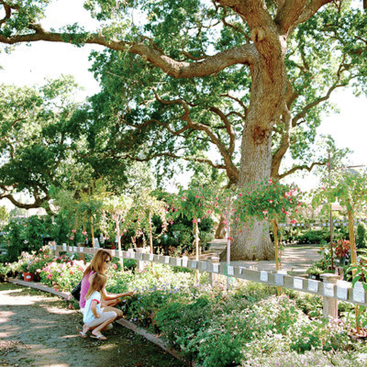 16 spring trips in California