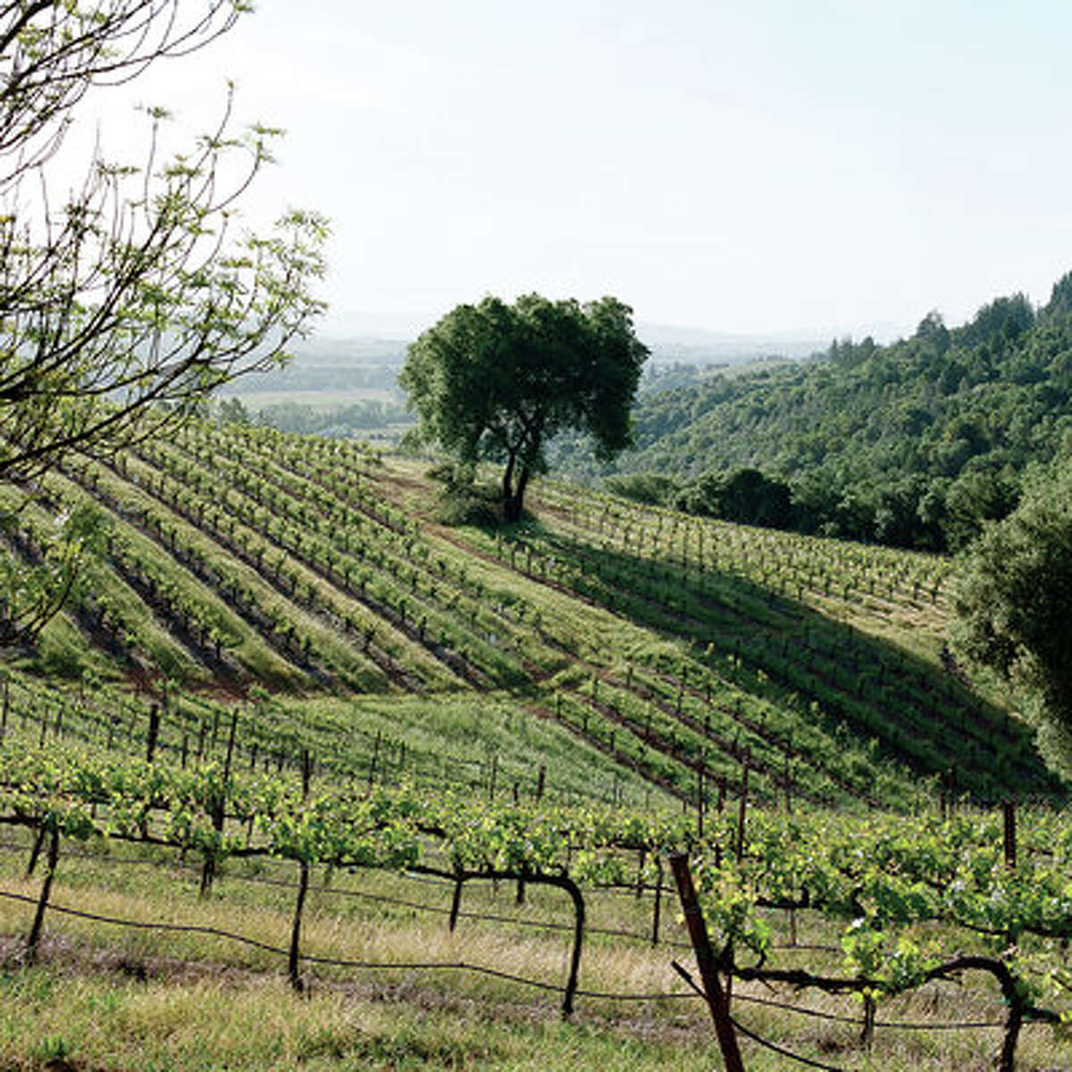 16 spring trips in California