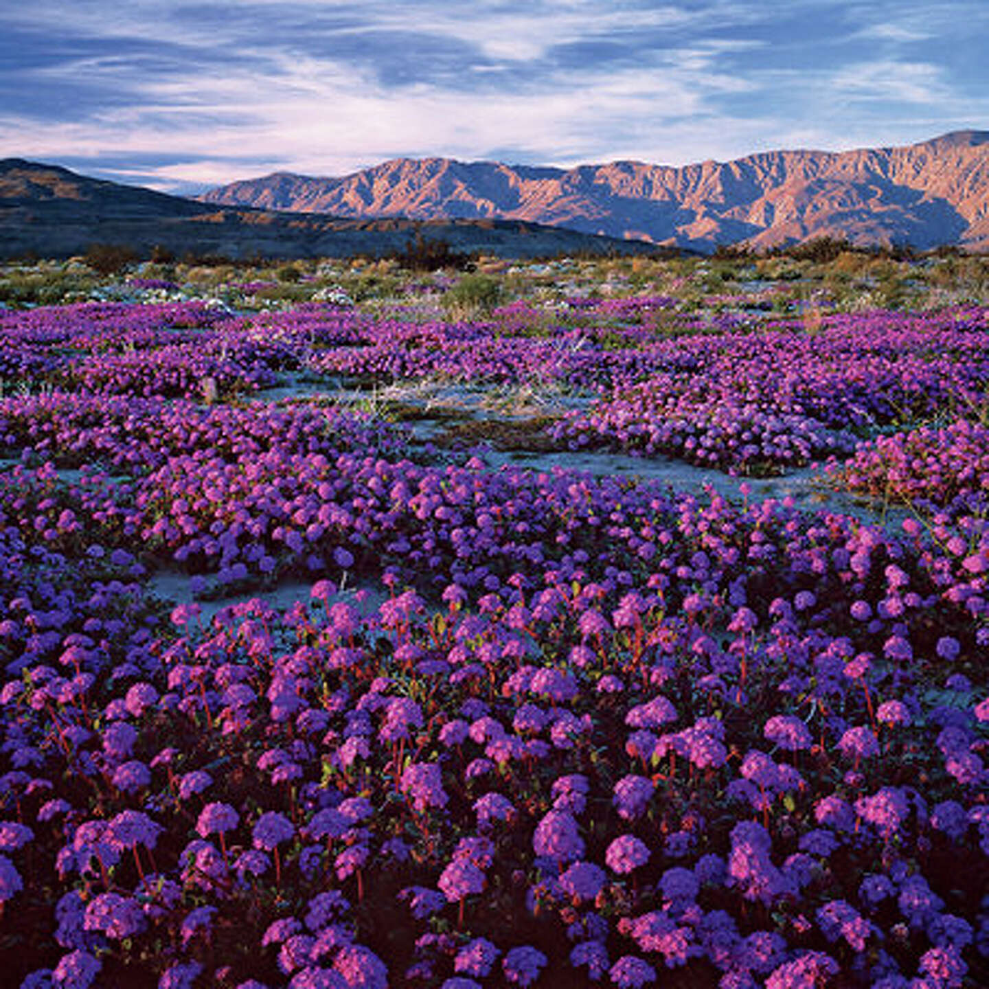 16 spring trips in California
