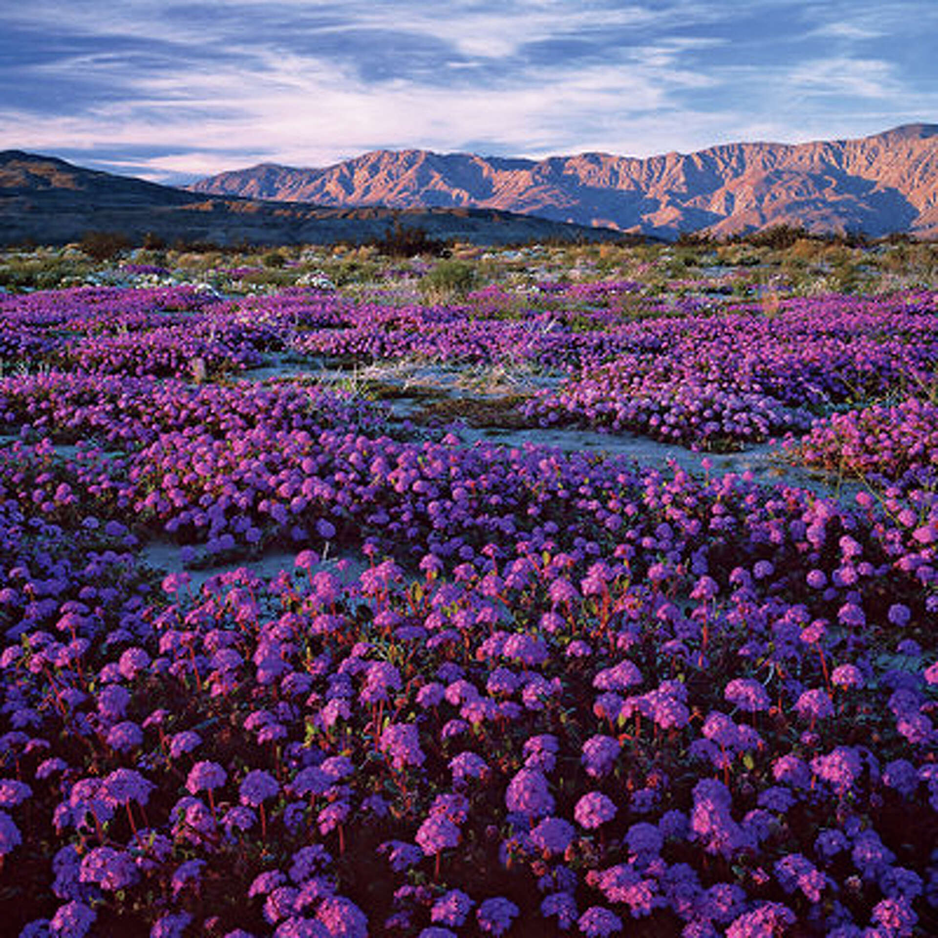 16 spring trips in California