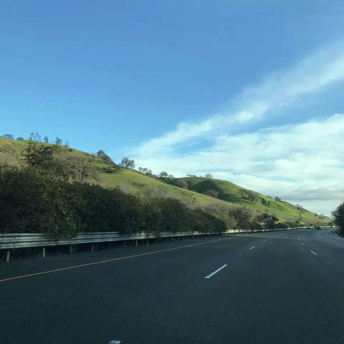 Photos: After winter rains, the hills of Northern California are ...