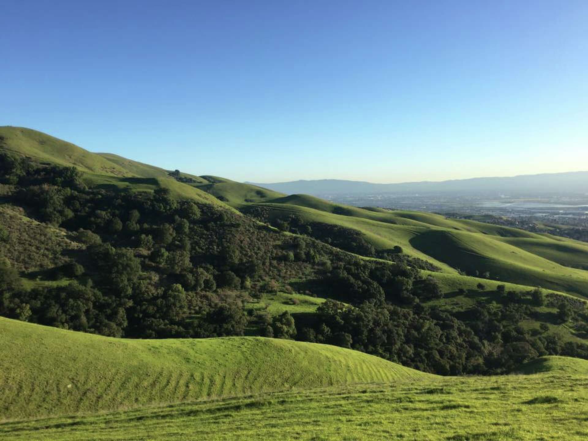 Photos: After winter rains, the hills of Northern California are ...