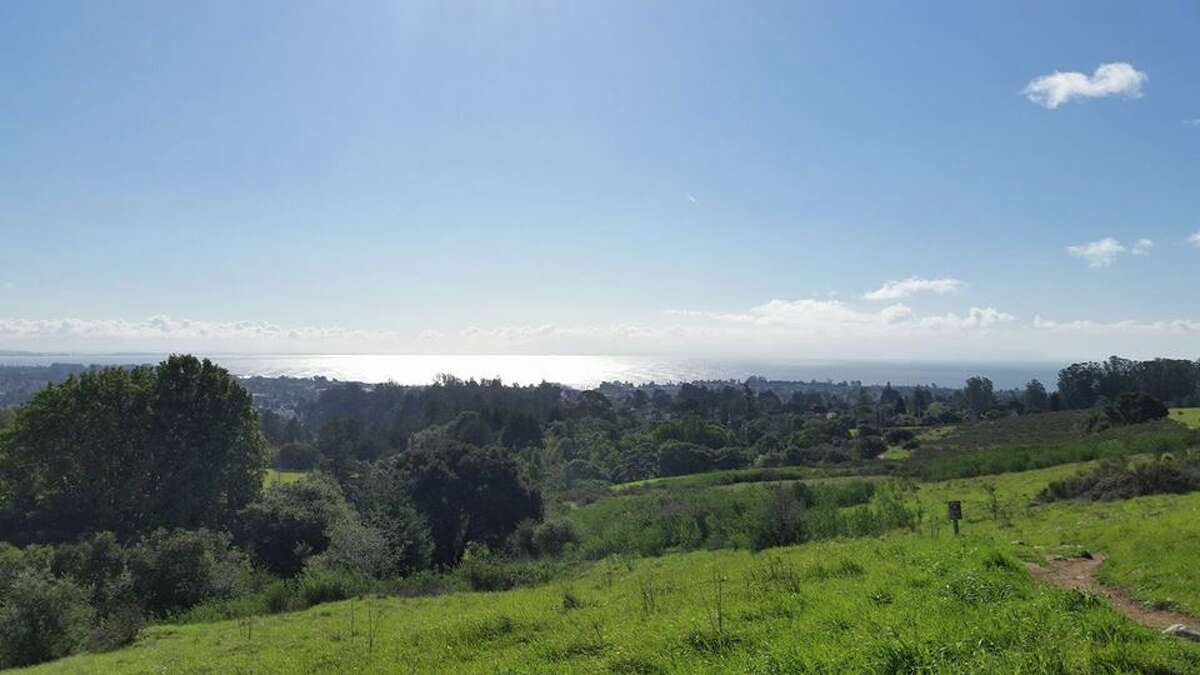 Photos: After winter rains, the hills of Northern California are ...