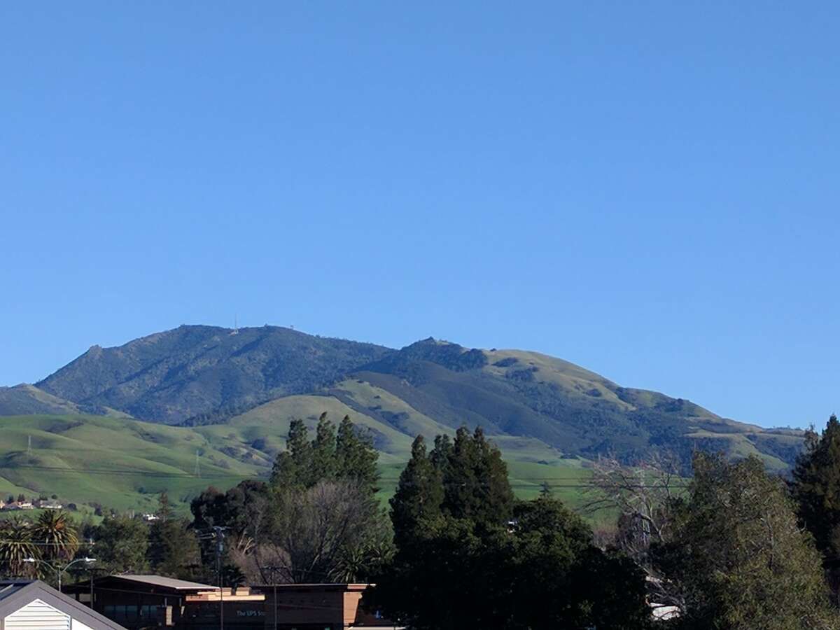 Photos: After winter rains, the hills of Northern California are ...