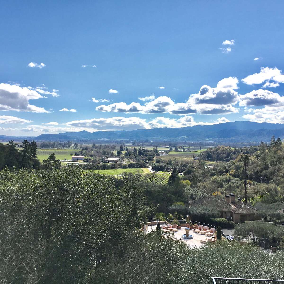 Photos: After winter rains, the hills of Northern California are ...