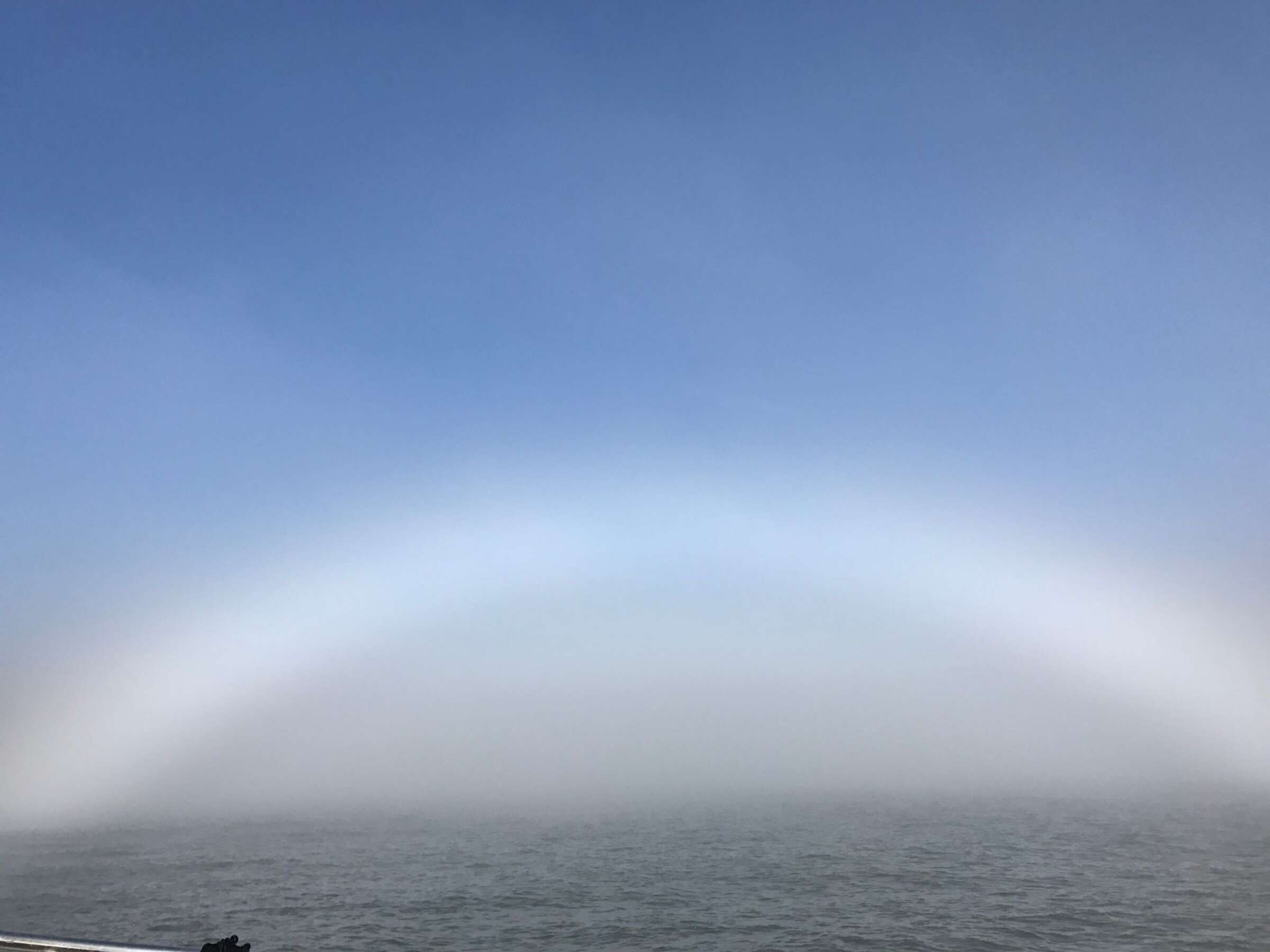 What's a fogbow and why did one appear over the bay yesterday?