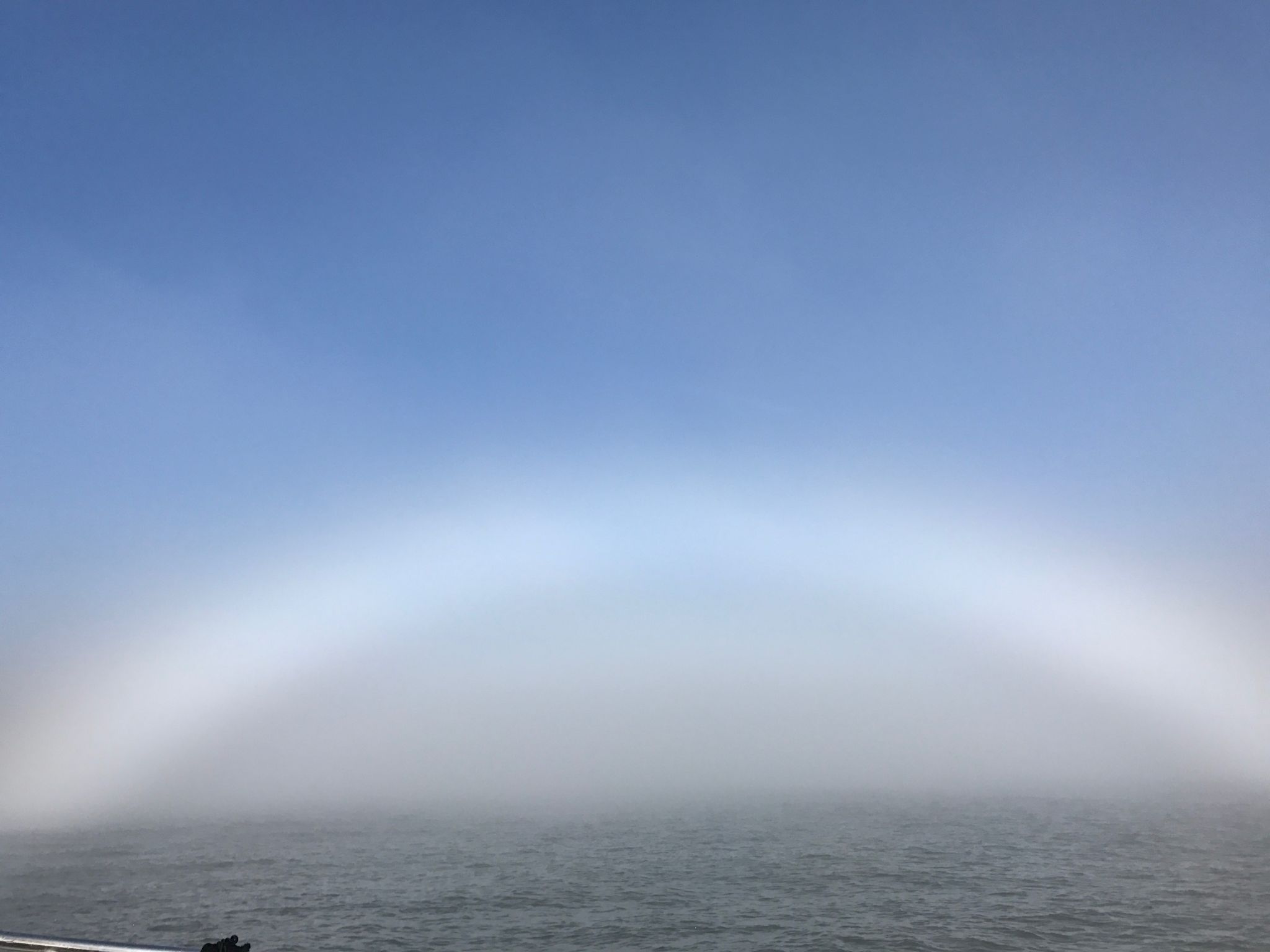 What's a fogbow and why did one appear over the bay yesterday?