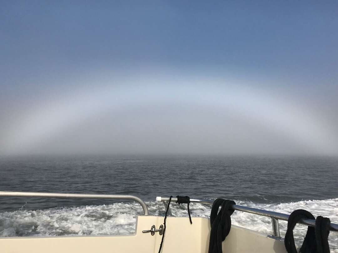 What's a fogbow and why did one appear over the bay yesterday?