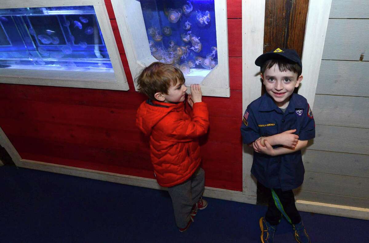 In Photos: Scout Day at the Maritime Aquarium