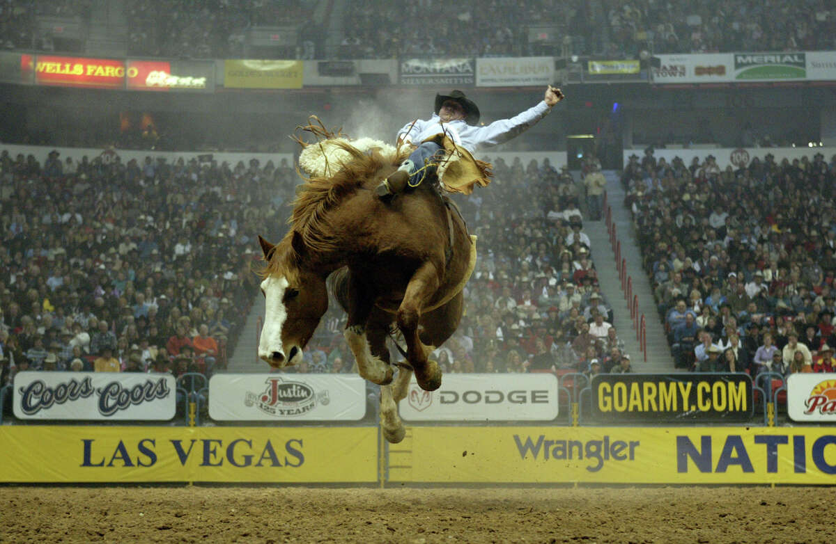 Gray matters: RodeoHouston honors legendary bucking horse