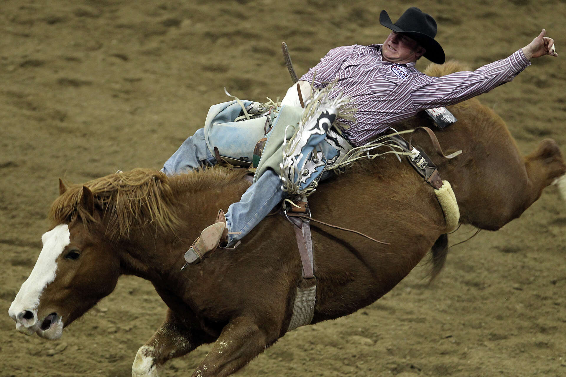 Gray matters: RodeoHouston honors legendary bucking horse