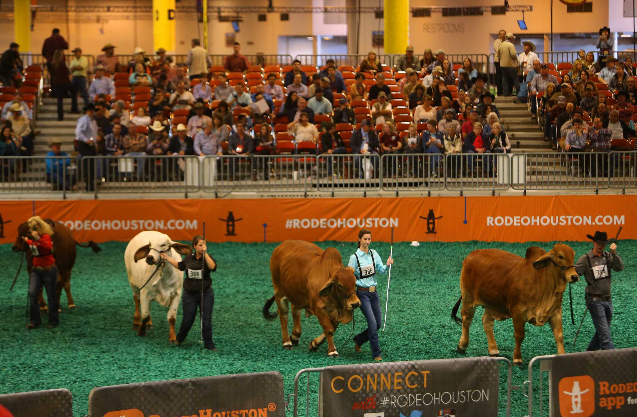 The Brahman Connection