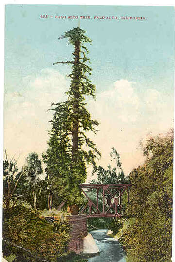 The strange, fun and fascinating stories behind Bay Area city names