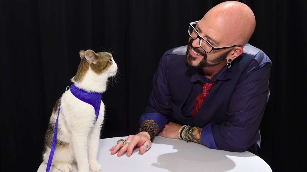 'Catpreneurs' Unite at New York's First 'Cat Camp' Symposium