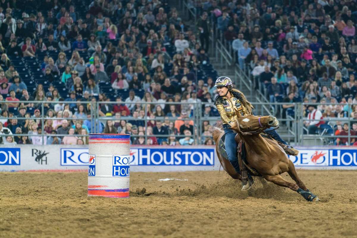Steer bring in big bucks at Rodeo auction