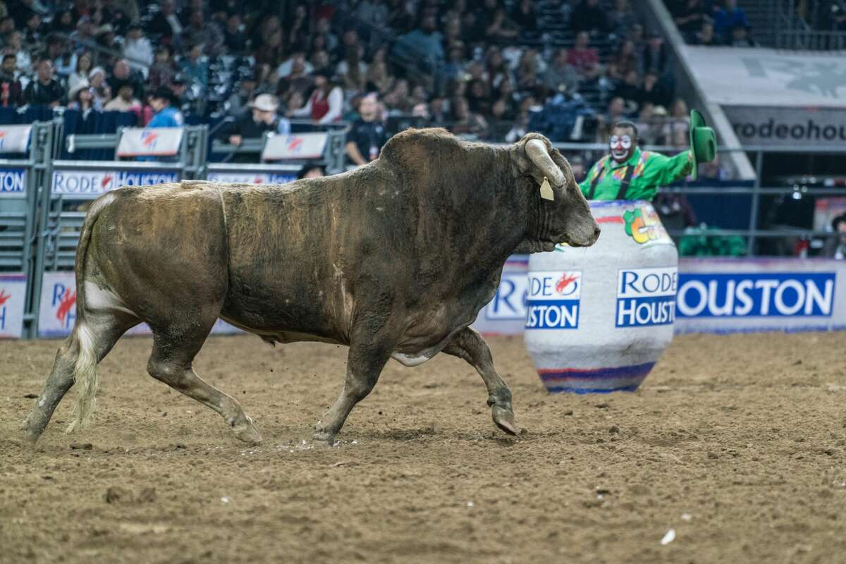 Steer bring in big bucks at Rodeo auction