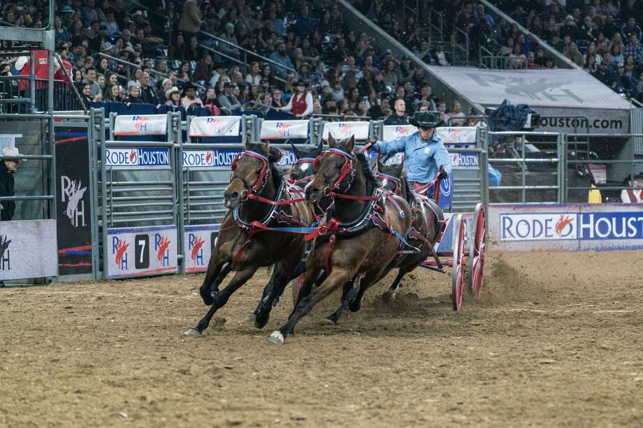 Steer bring in big bucks at Rodeo auction - Houston Chronicle