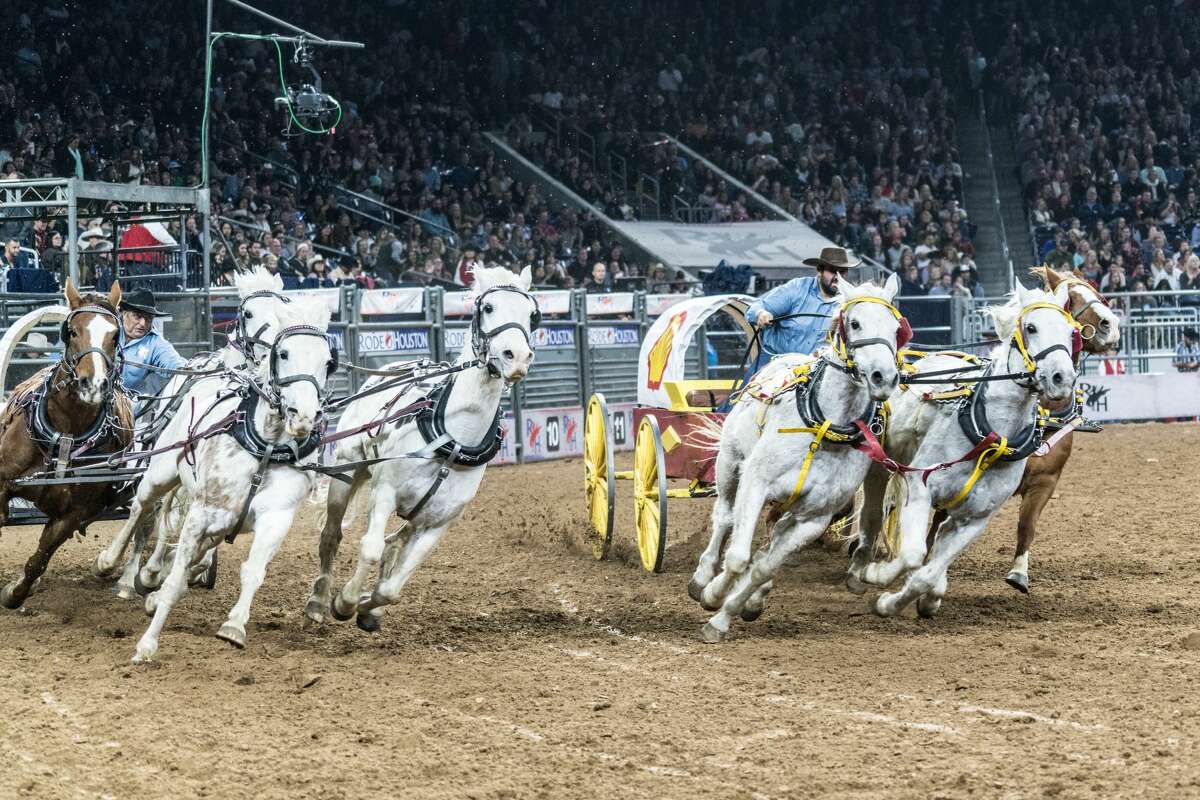 Steer bring in big bucks at Rodeo auction