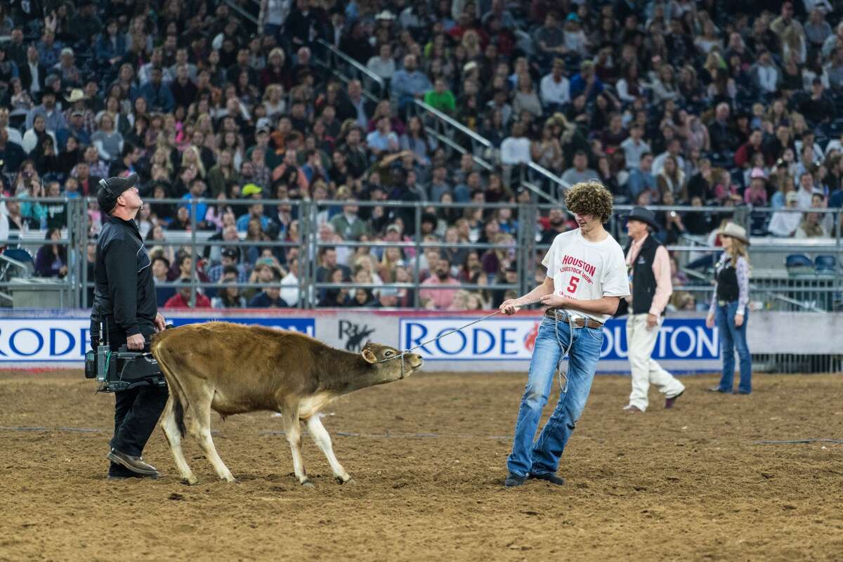 Steer bring in big bucks at Rodeo auction