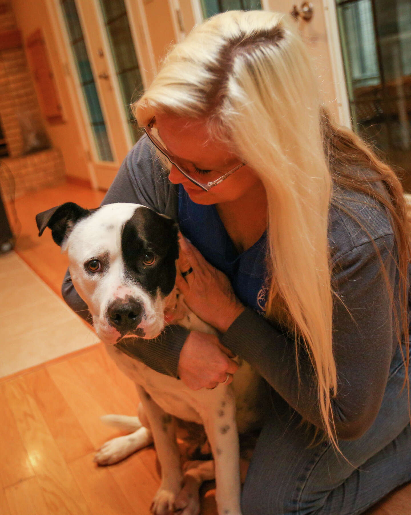 Boarding suites offer dogs fresh chance, temporary home