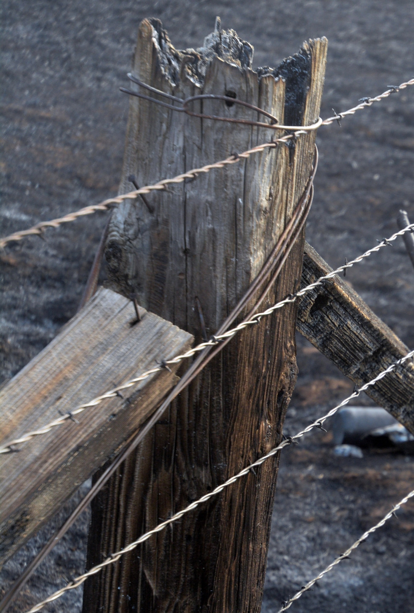Study shows wildfire does not damage barbed wire