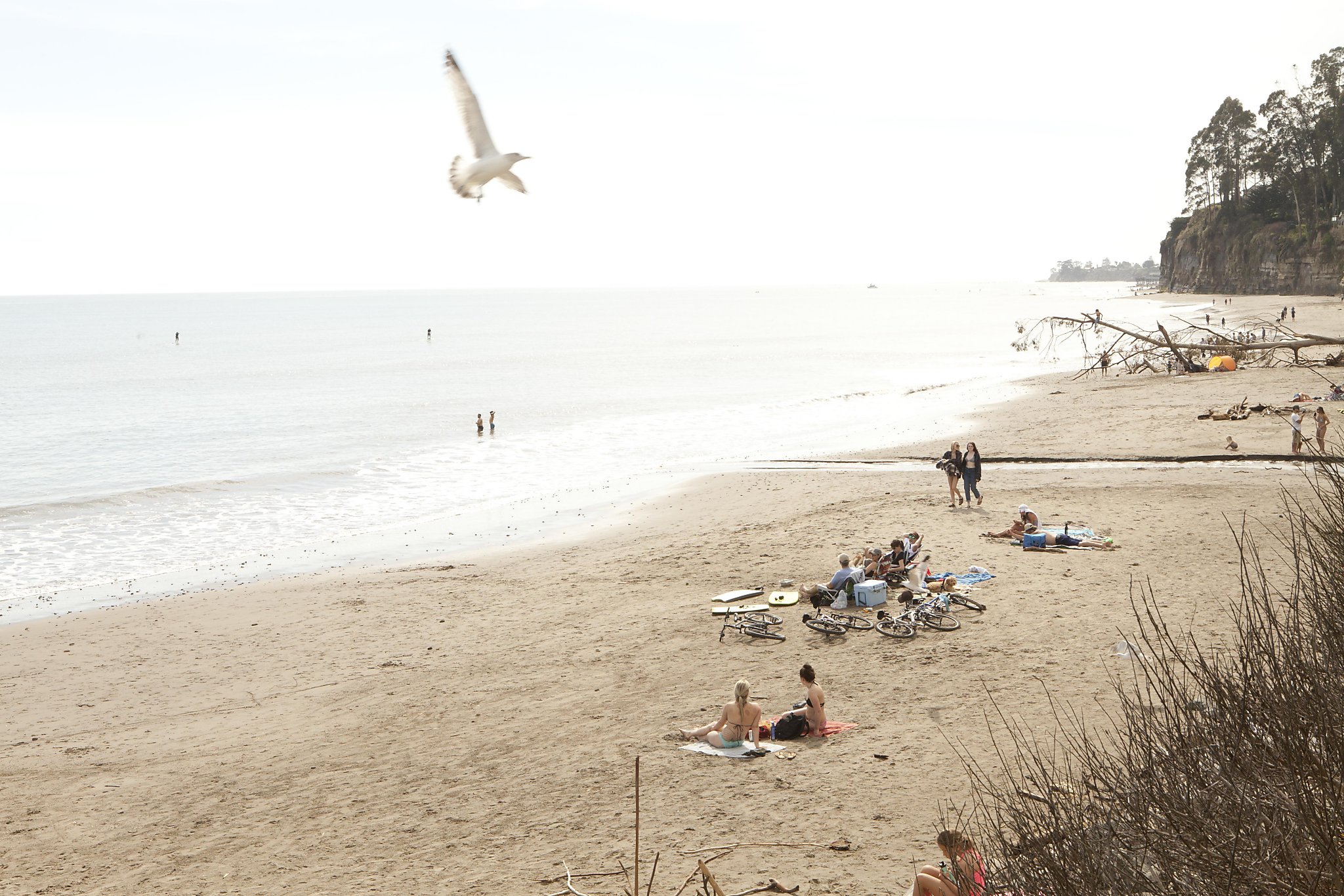 22-year-old man found dead at Santa Cruz Co. beach after suspected fall ...
