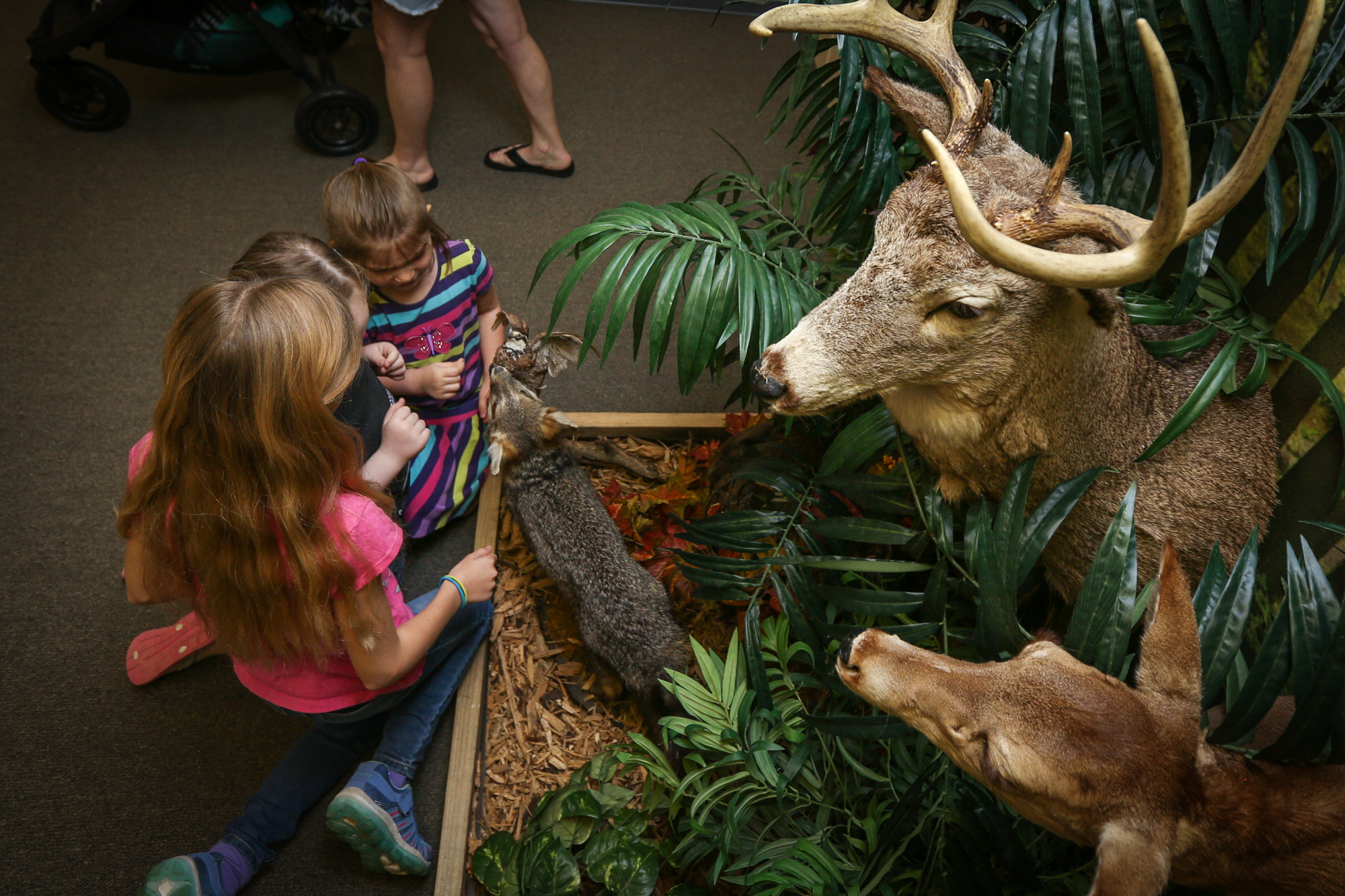 Friends of Texas Wildlife opens educational visitor's center in Magnolia