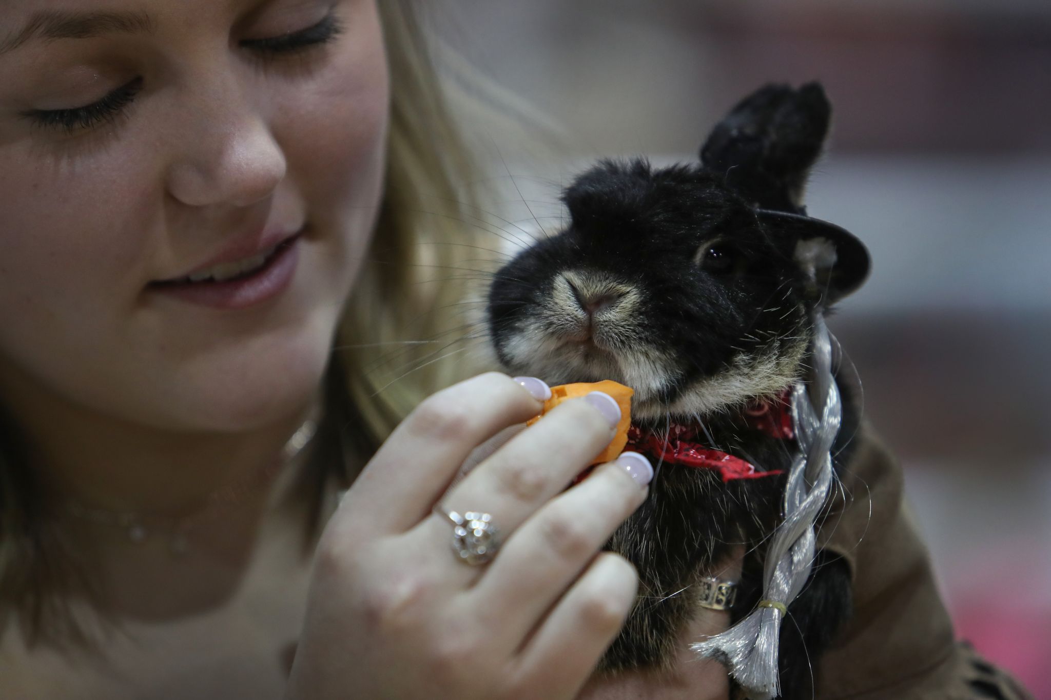 Rabbits got decked out and dressed up for RodeoHouston