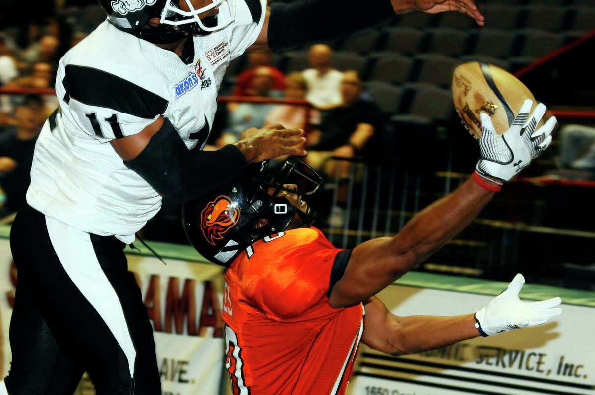 Albany's pro sports future in limbo