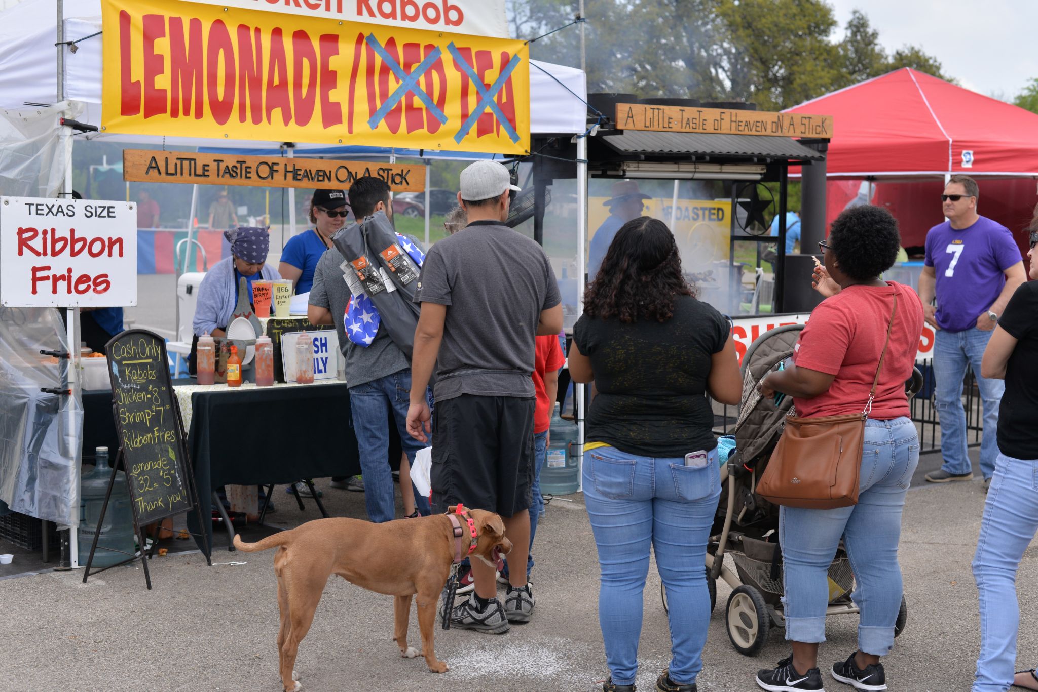 S.A. dog lovers, kite enthusiasts head outside for the Fest of Tails ...