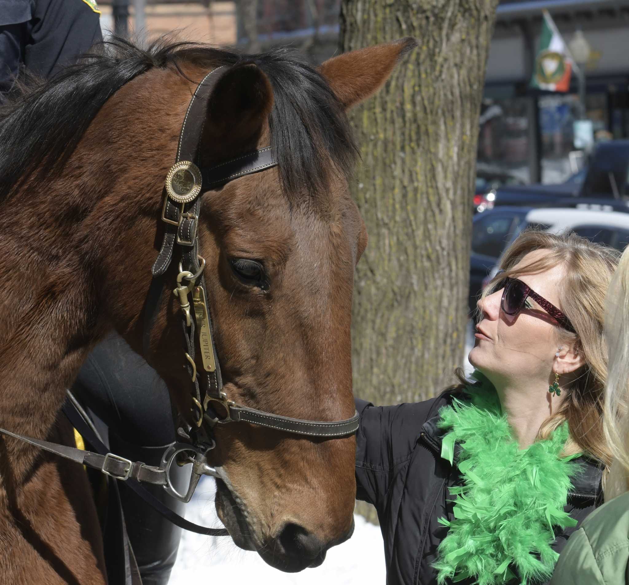 Jupiter retires after 13 years hoofing the beat