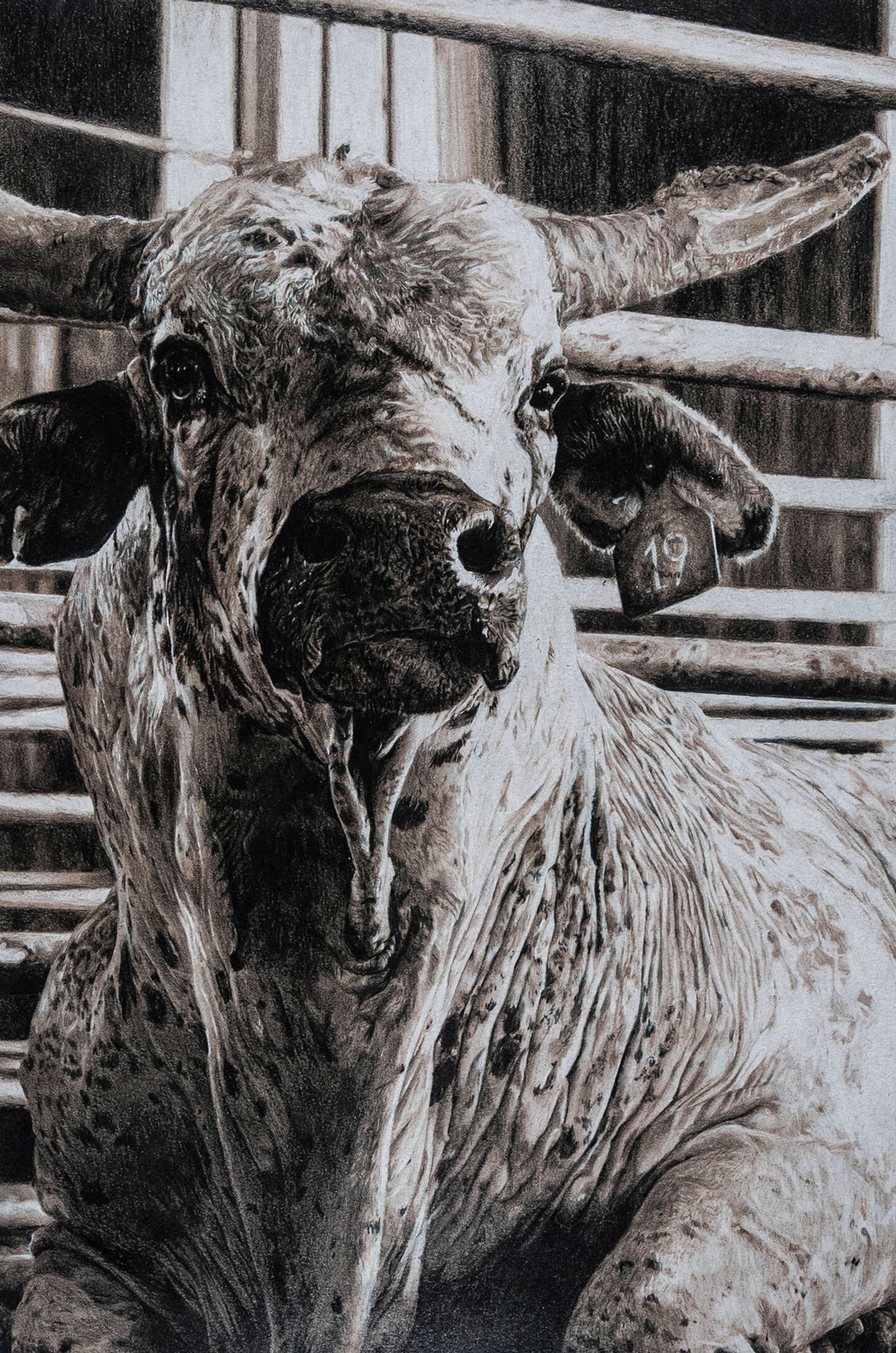 See the best RodeoHouston art from Houston-area students