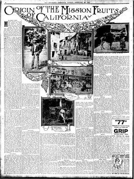 Mission revival: State’s first wine grape, circa 1760, rides again