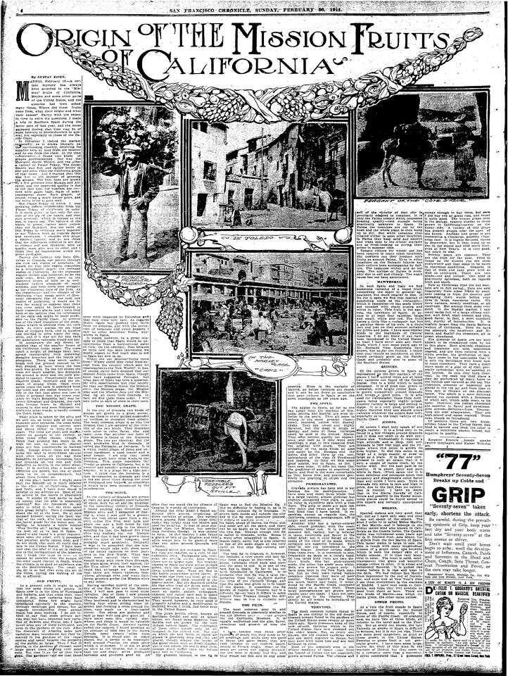 Mission revival: State’s first wine grape, circa 1760, rides again