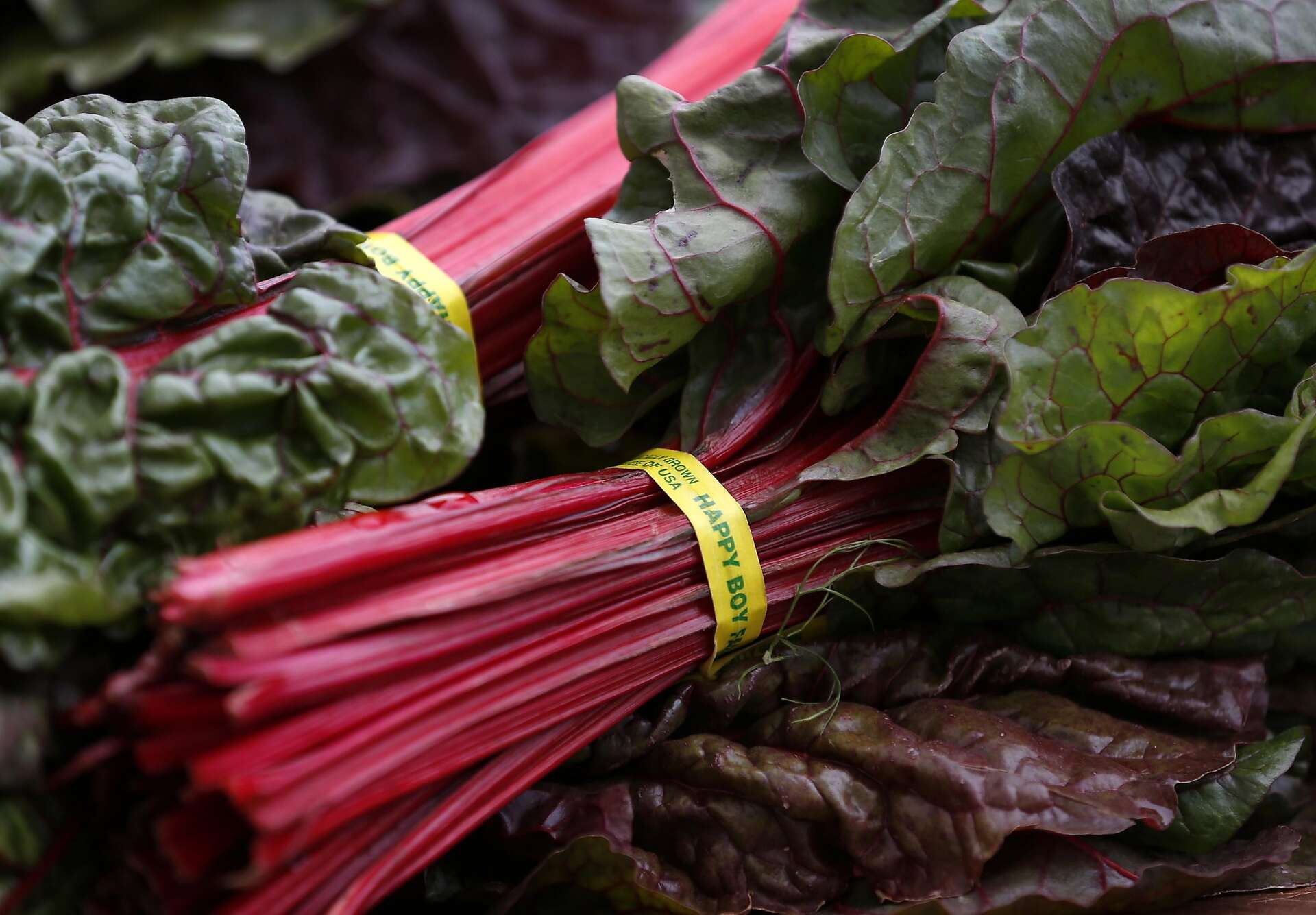 California’s vegetable farms hit hard by floods, ongoing rain